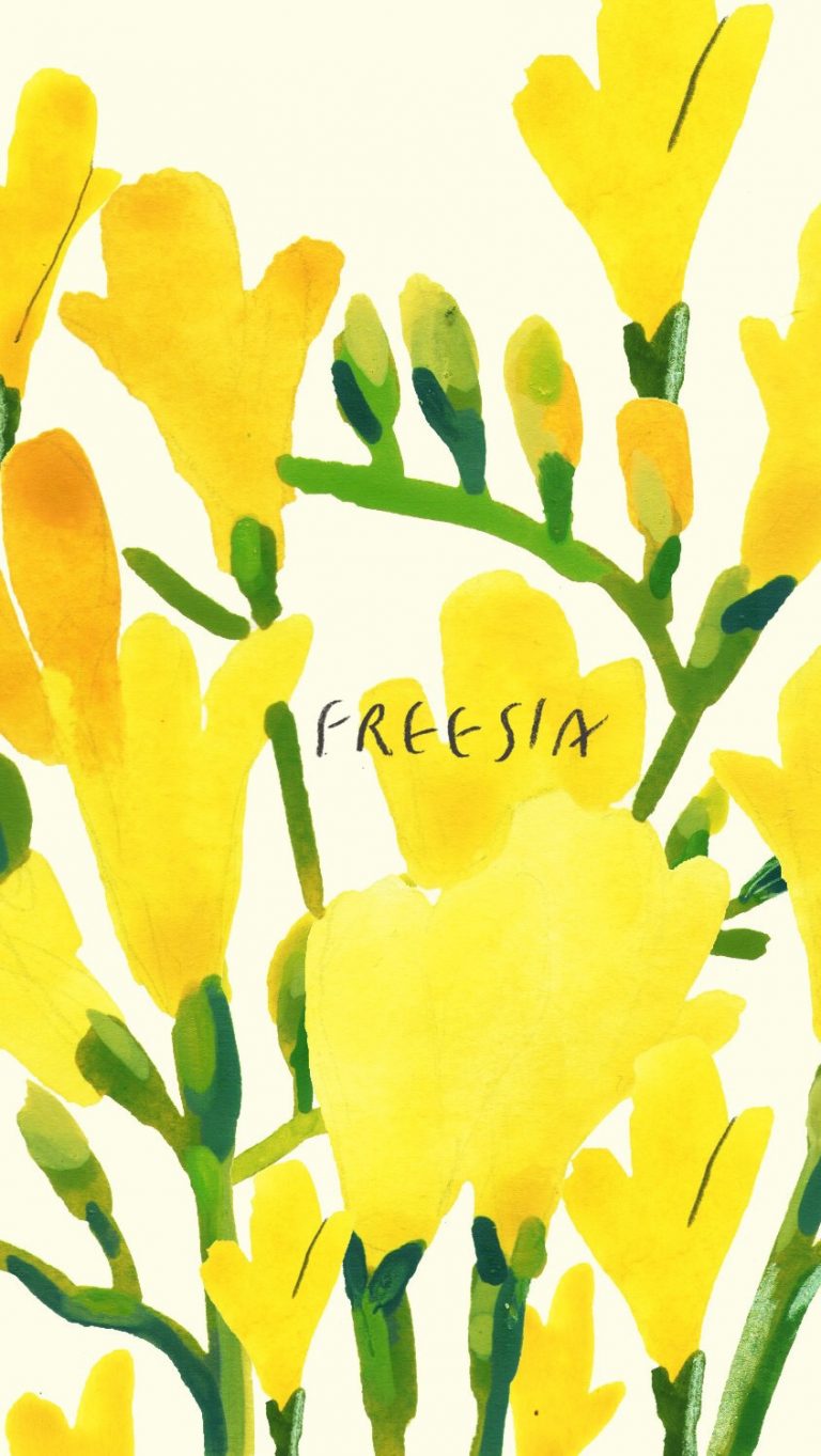 Mlito | Seula Yi – 韩国插画师 Seula Yi 作品