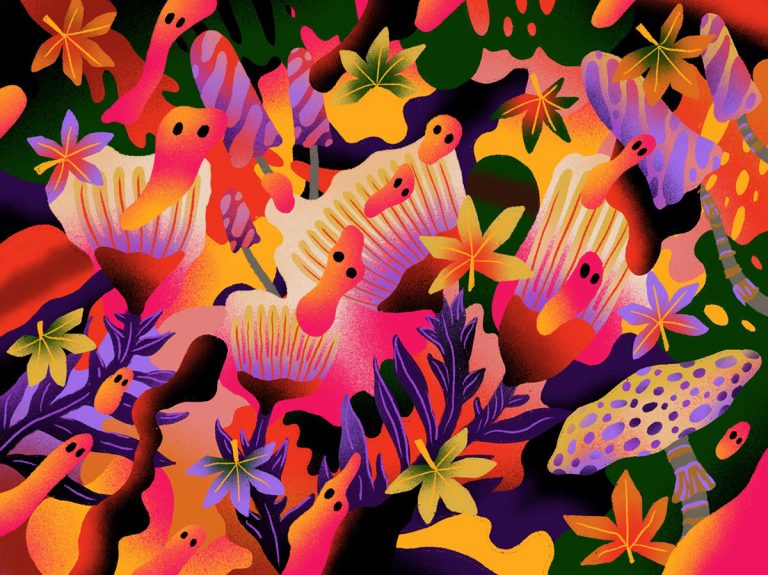 Mlito Procreate Hidden Summer mlito-procreate-hidden-summer